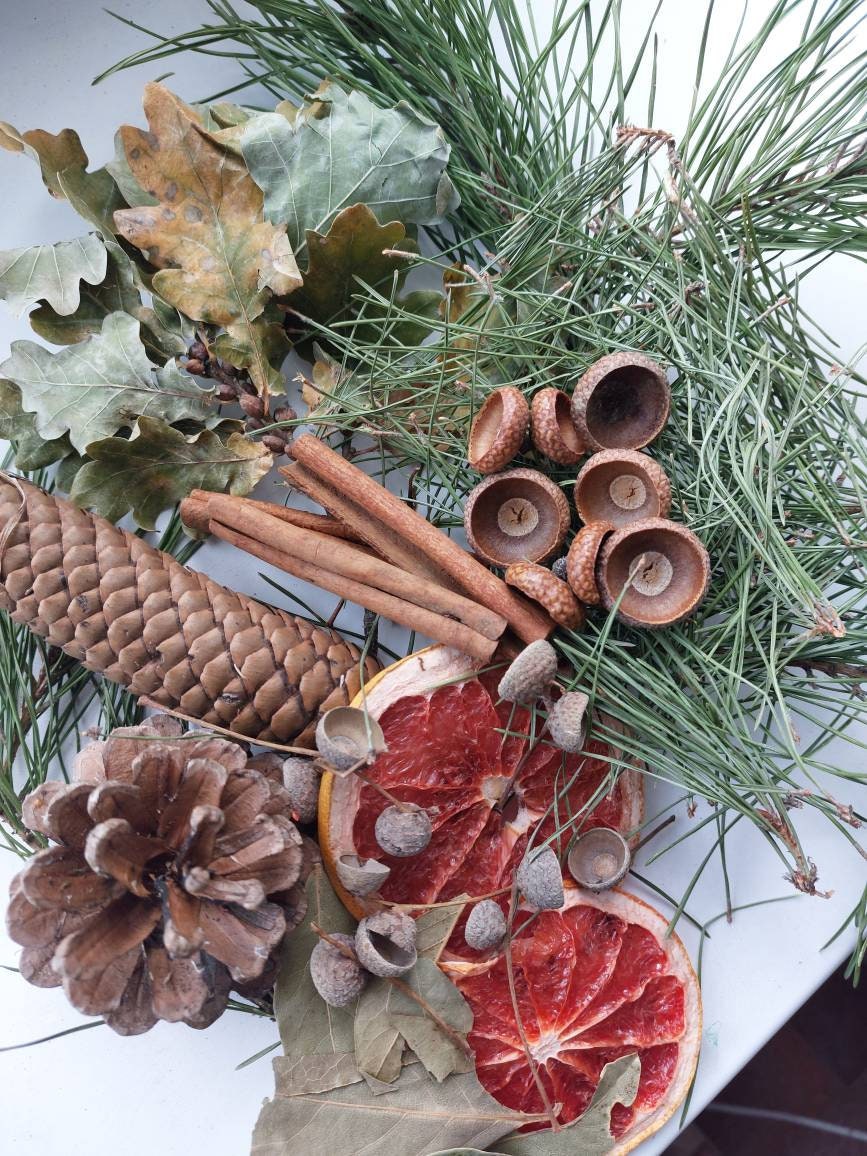 Woodland, Luxury Pot Pourri, Forest Inspired Home Decor Country ...