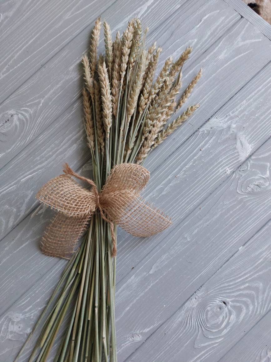 100 Stems of Natural Wheat, a Bunch of Dried Flowers, Flower ...