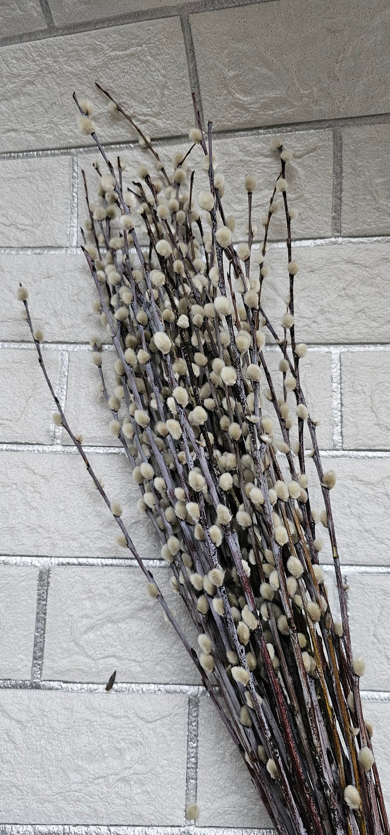 20 Dried Pussy Willow Branches.twigs Catkins,spring Decor.easter ...