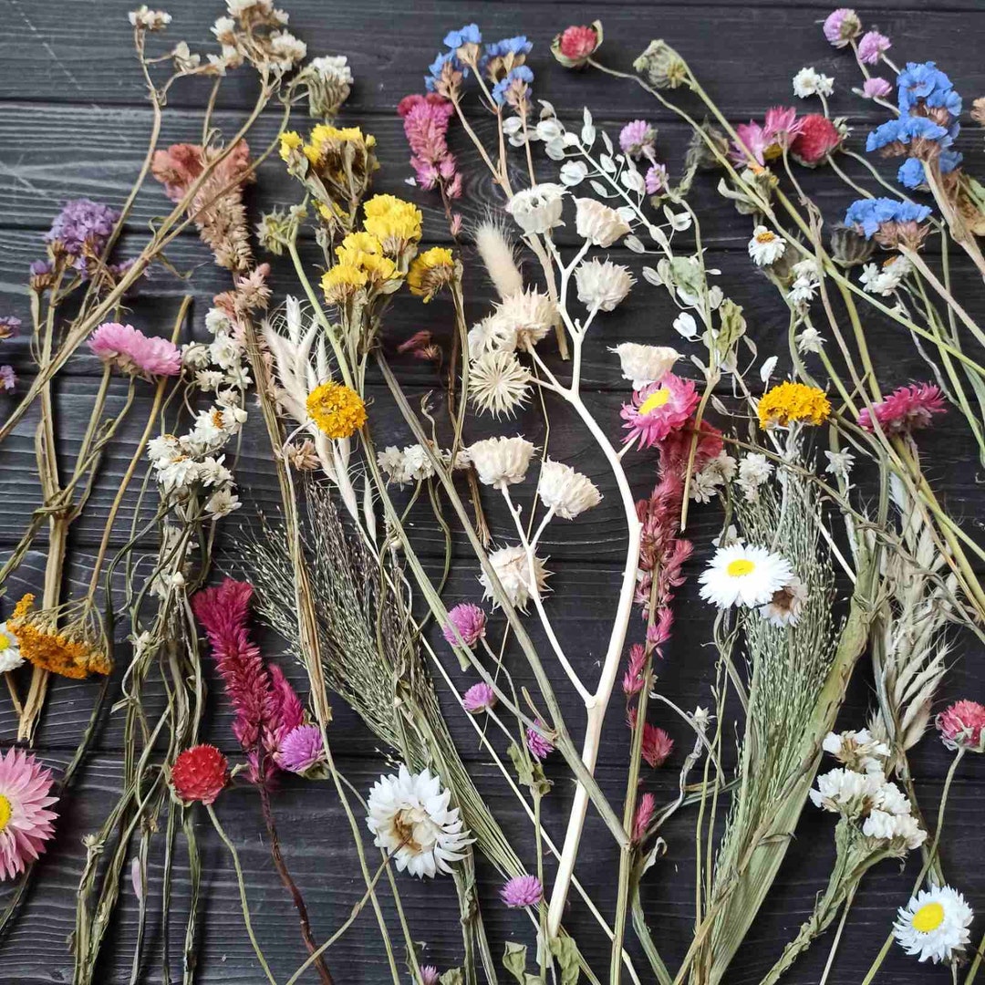 100 Pcs Dried Flowers, Tiny Dry Flowers,flowers for Resinflowers for ...