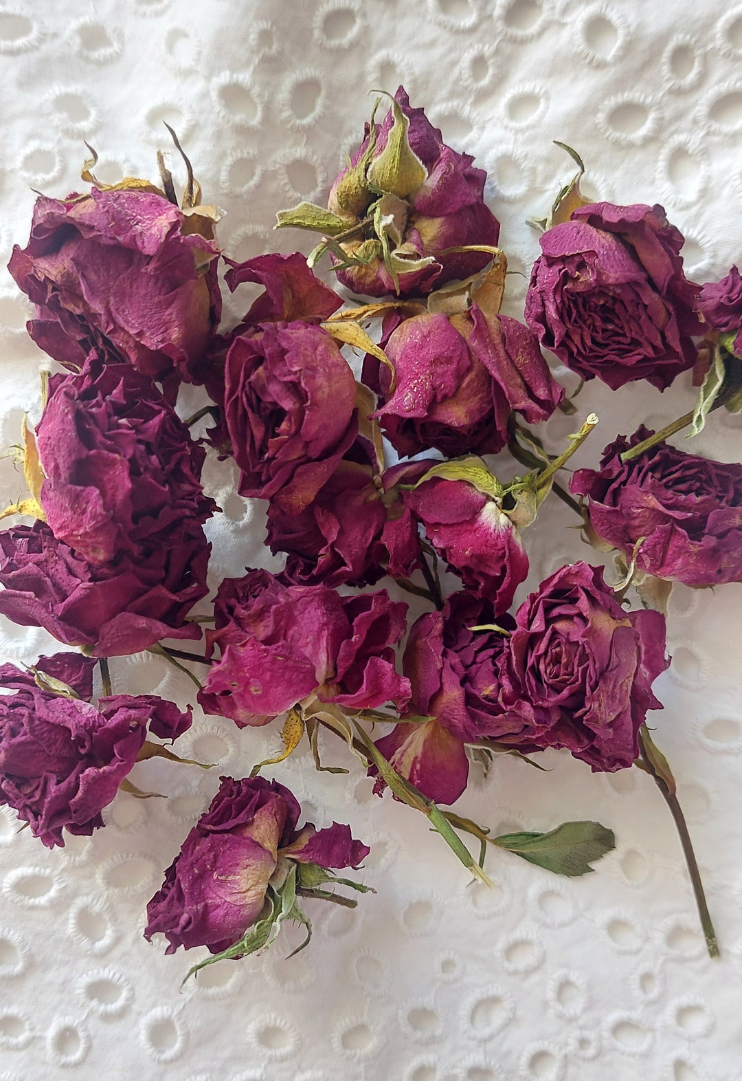 20 Pcs Dried Rose Flowers,dried Rose,red Dry Roses,miniature Rose Buds ...