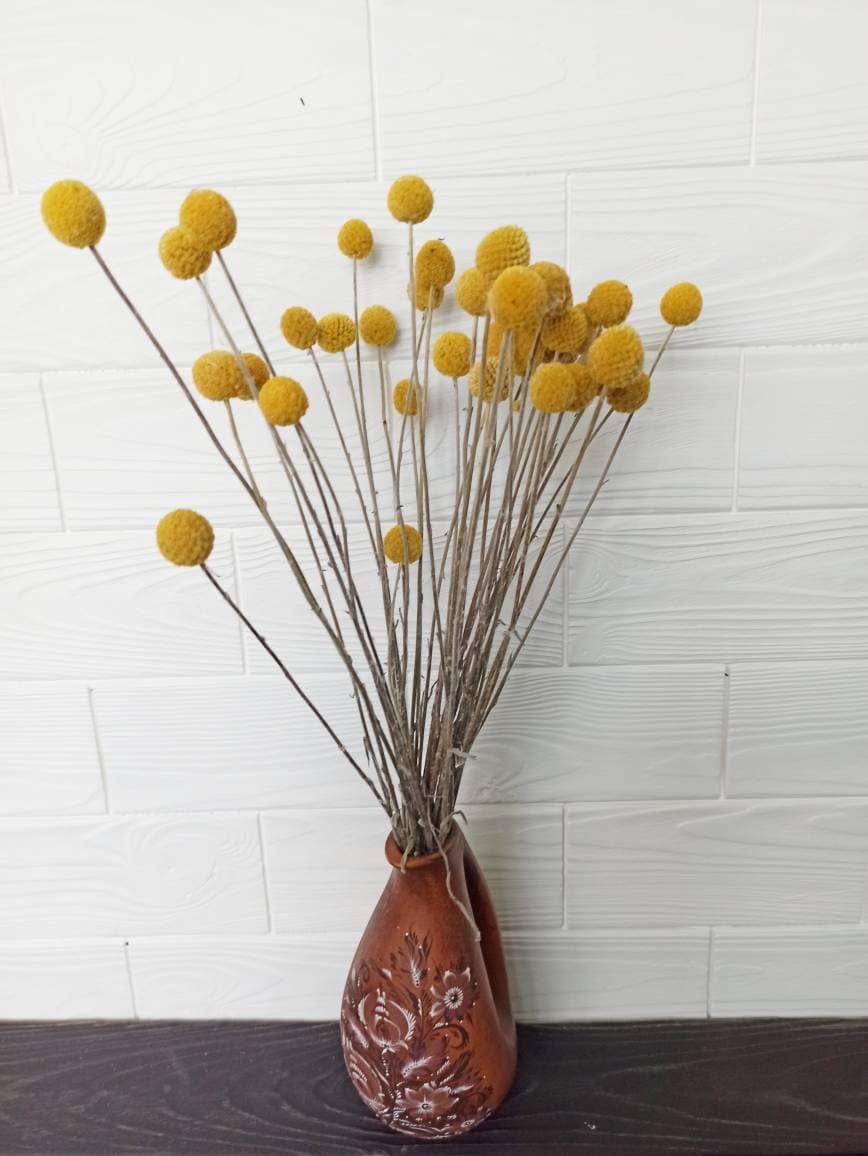 Stems Dried Billy Ball Dry Craspedia Golden Ball Billy - Etsy