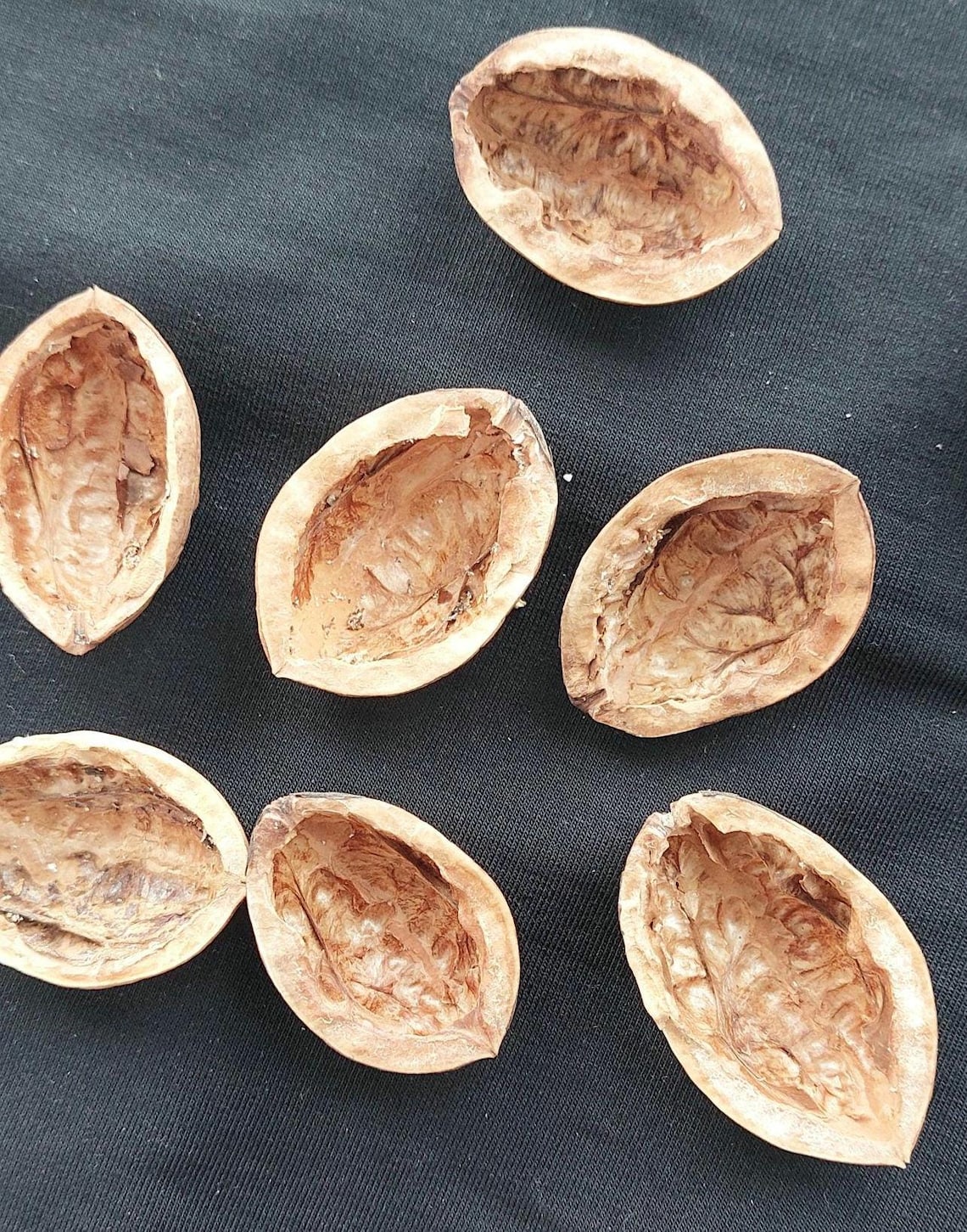 100 Pcs Walnut Shell Halves,walnut Halves Creativity,walnut Slices ...