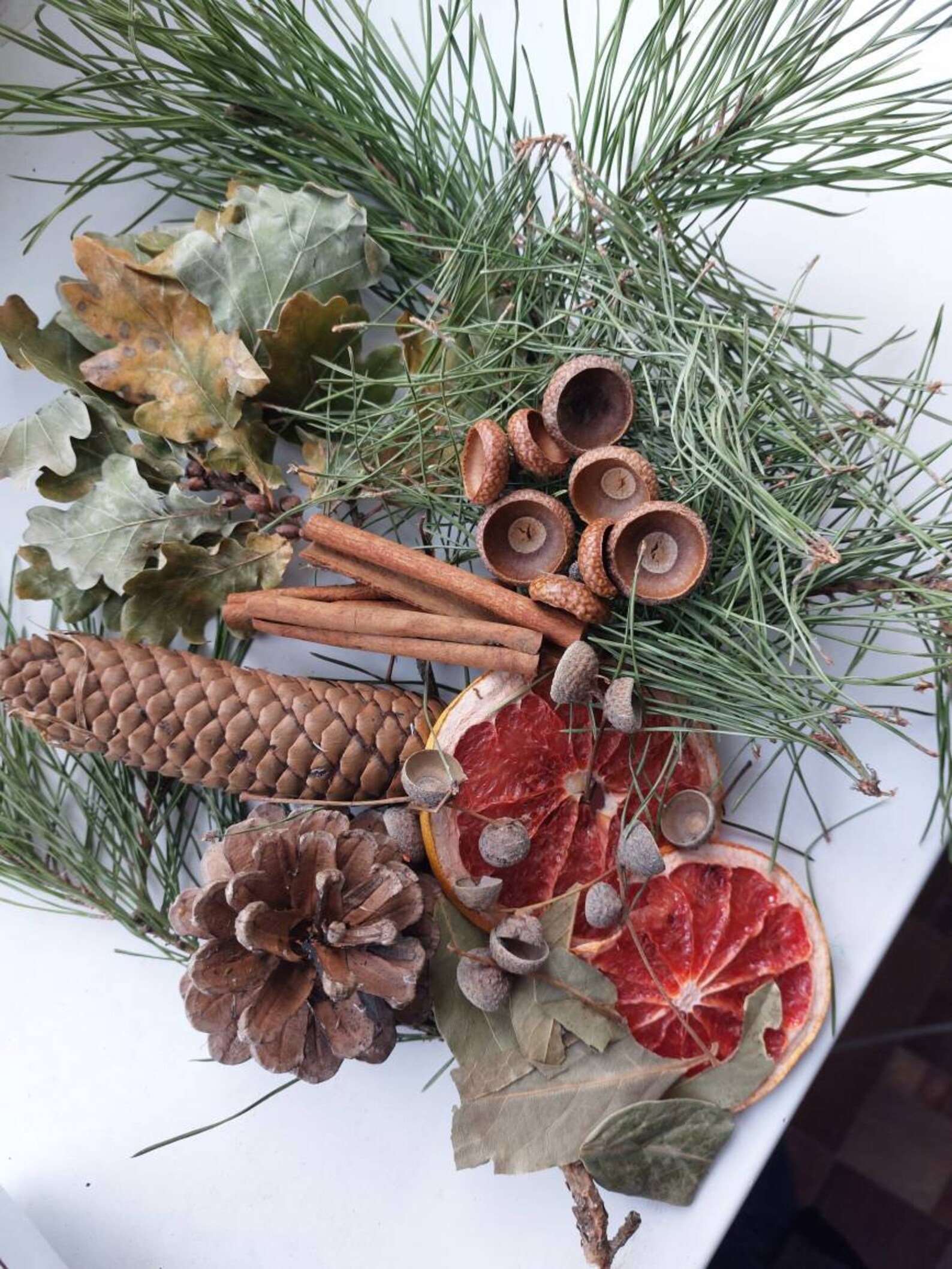 Woodland, Luxury Pot Pourri, Forest Inspired Home Decor Country ...