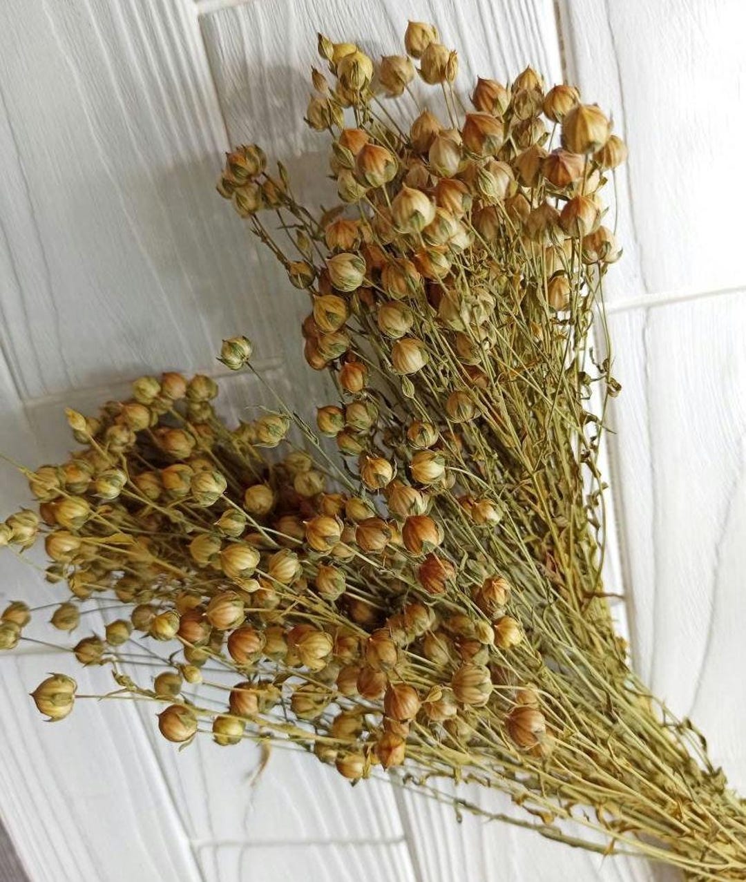 30\50\100 Gr Organic Flax Spray, Flax Spray - Etsy