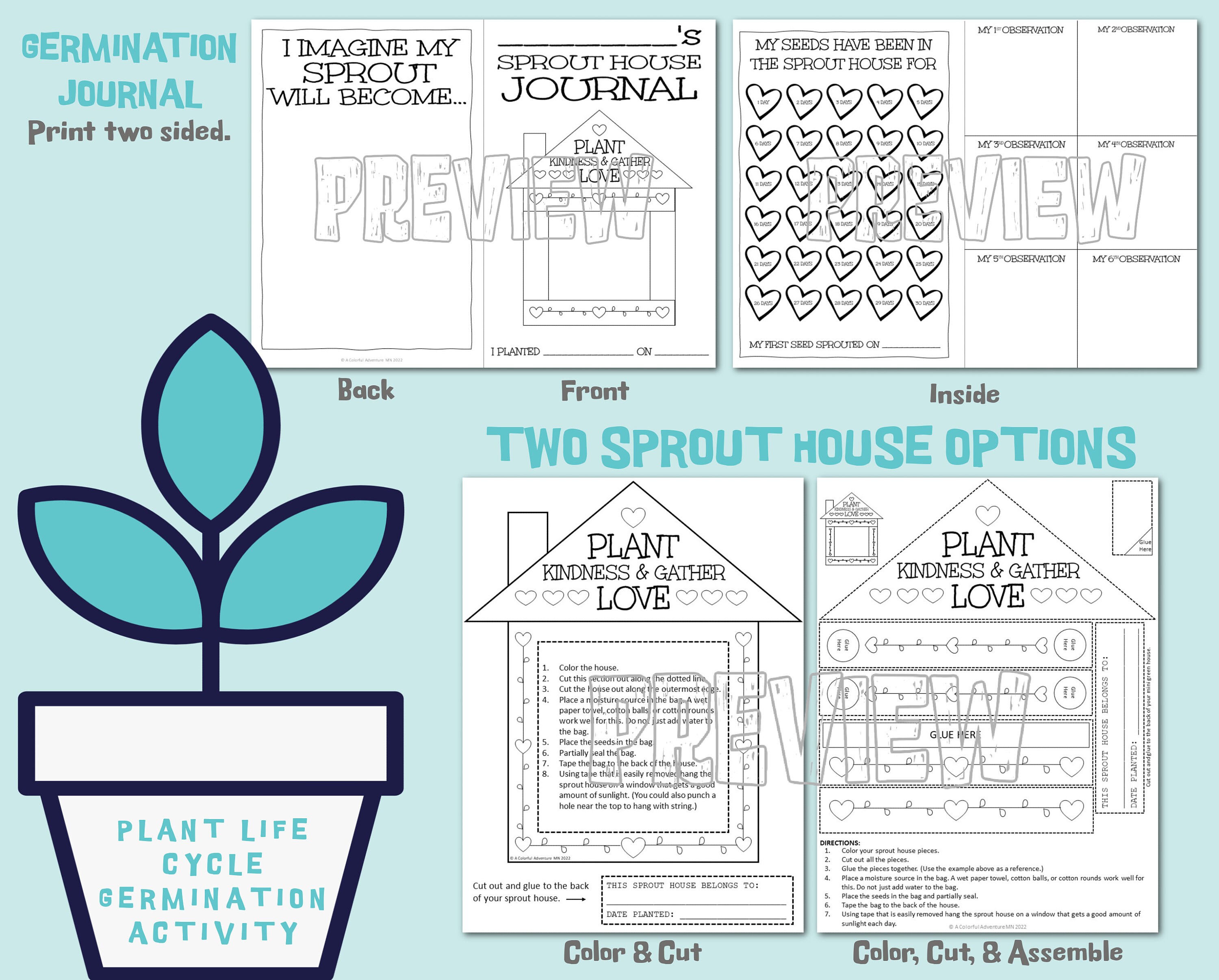 Sprout House Plant Life Cycle Mini Green House Activity for Preschool ...