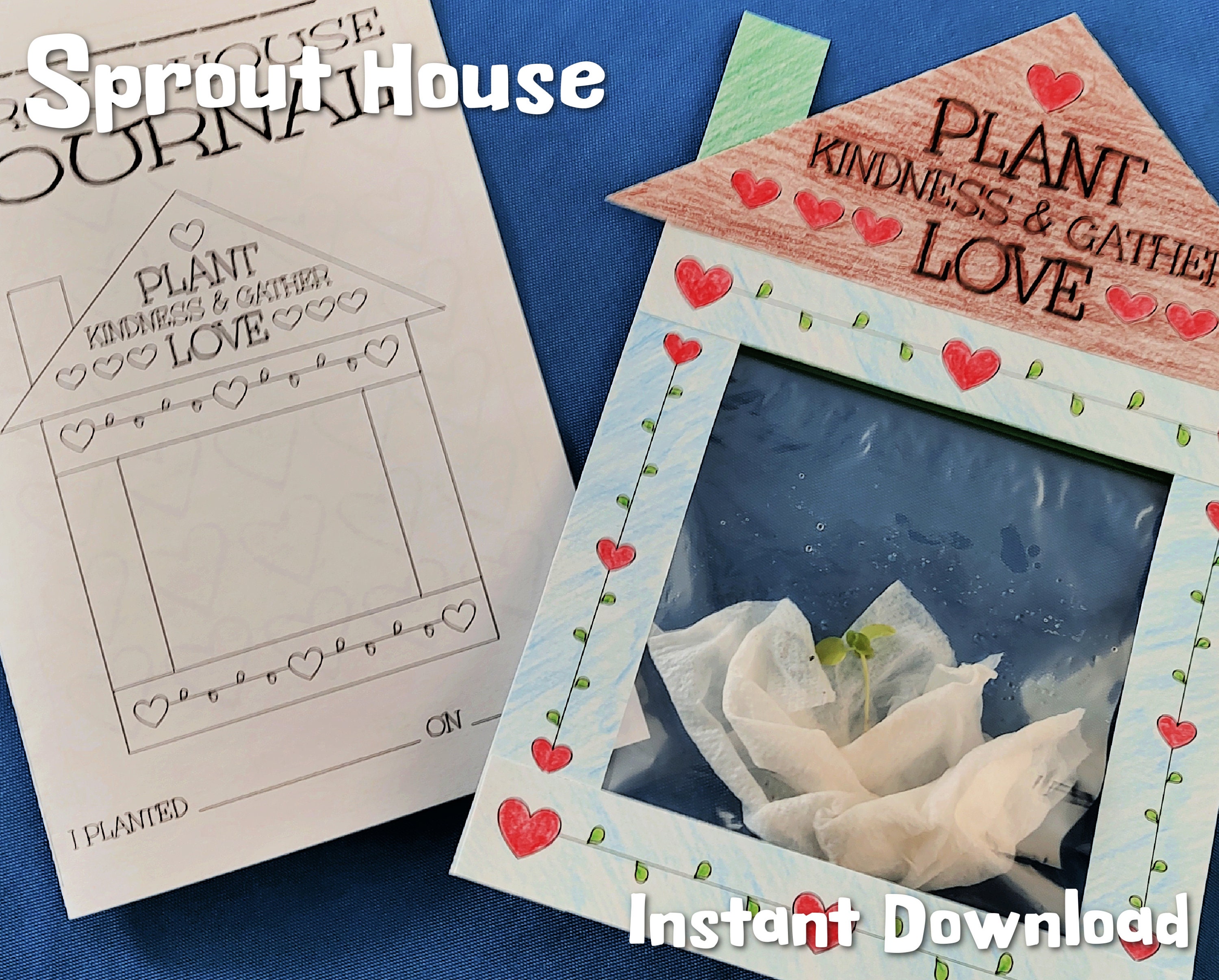 Sprout House Plant Life Cycle Mini Green House Activity for Preschool ...