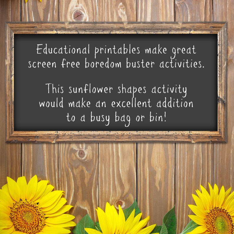 Sunflower Shapes & Colors Matching Activity: Fine Motor Skills (digital ...