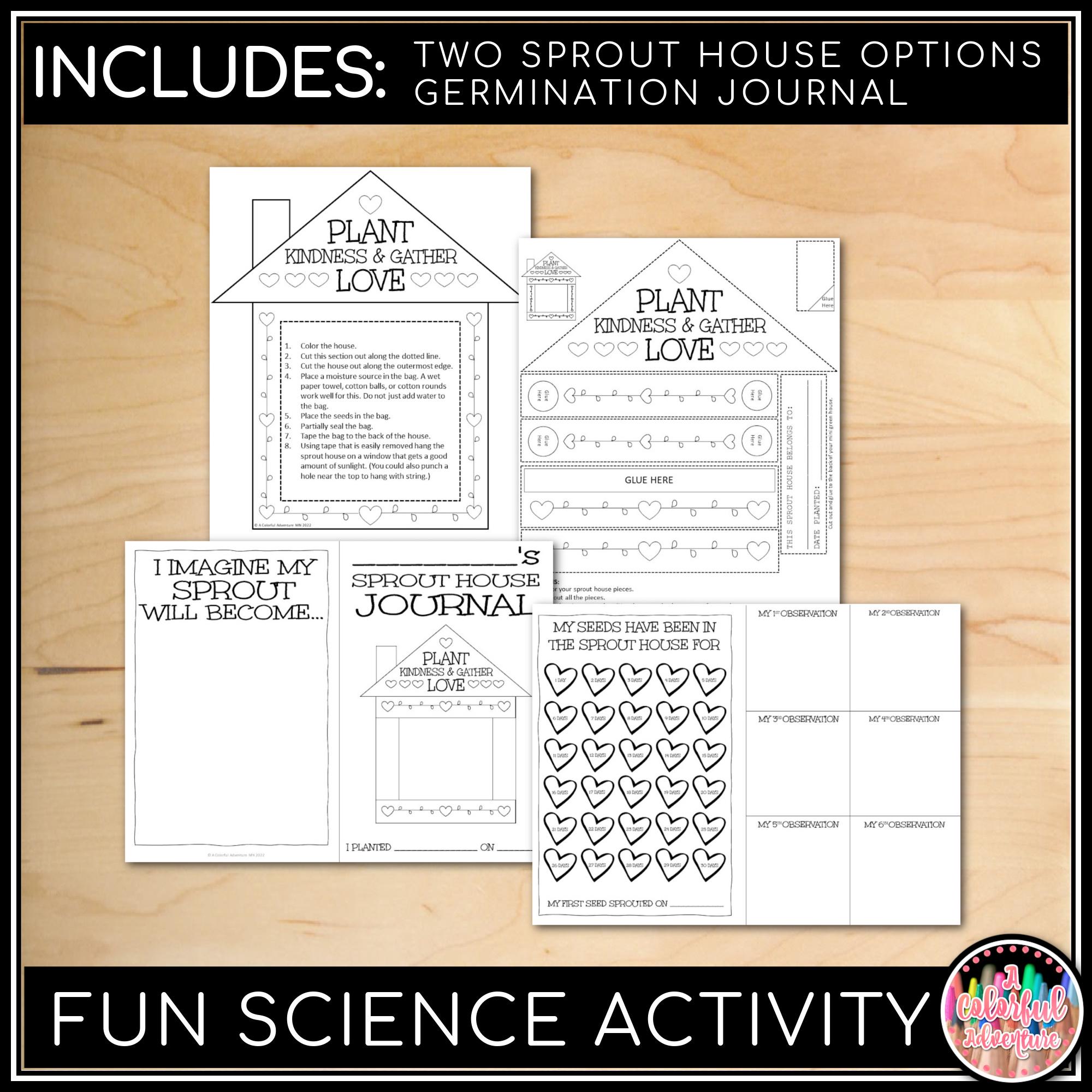 Sprout House - Plant Life Cycle Mini Green House Activity for Preschool ...