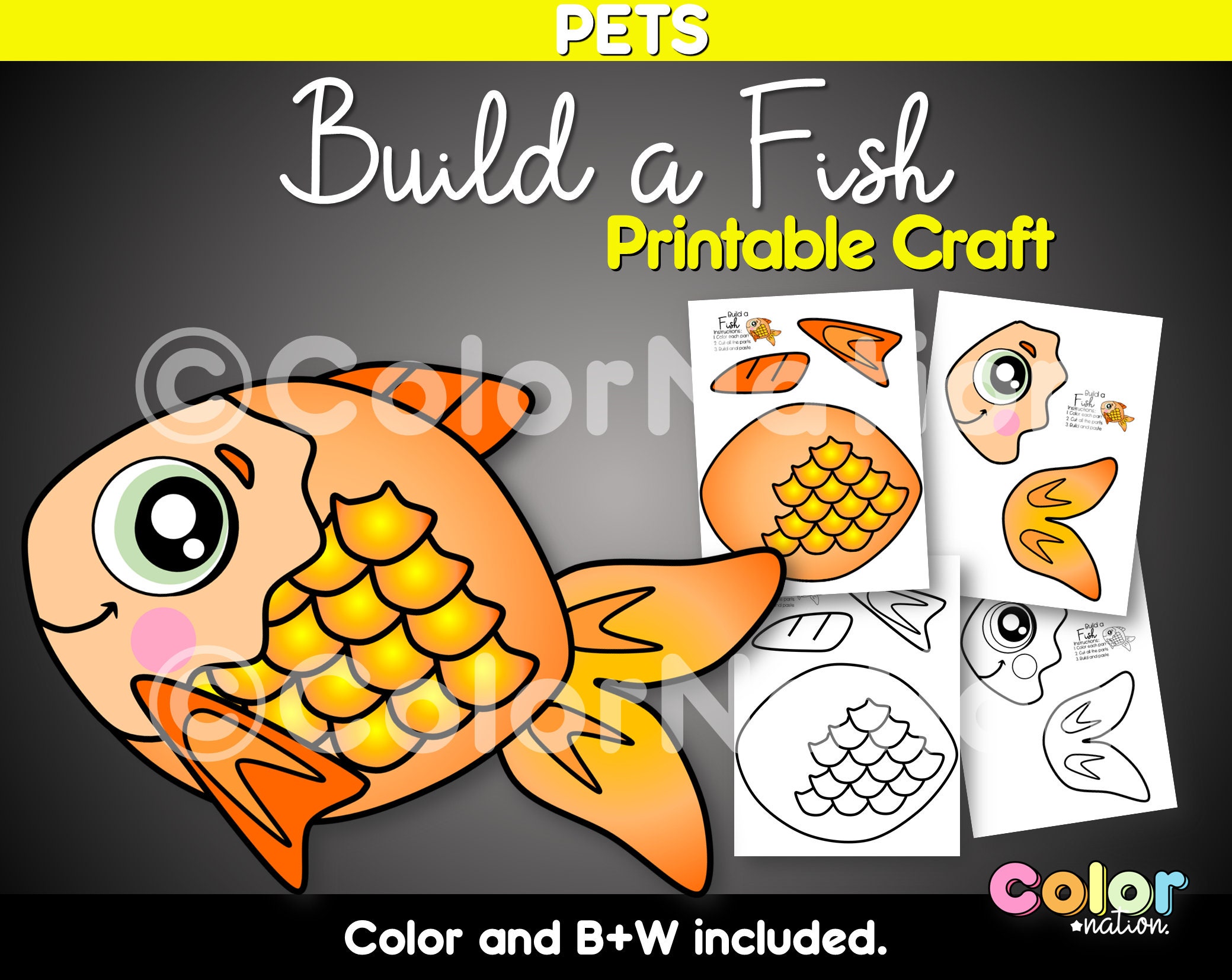 Build a Fish Craft - Pets Activity - Class Pet - Sea Activity - Ocean ...
