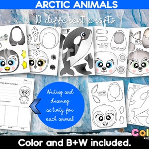 Arctic Animals BUNDLE of Printable Crafts -antartic Coloring, Harp Seal ...