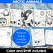 Arctic Animals BUNDLE of Printable Crafts -antartic Coloring, Harp Seal ...