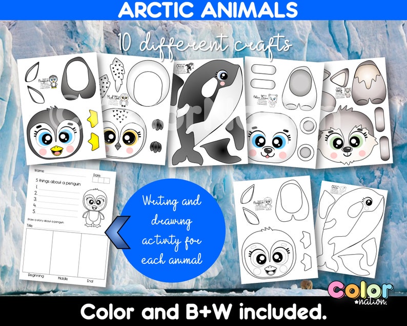 Arctic Animals BUNDLE of Printable Crafts -antartic Coloring, Harp Seal ...