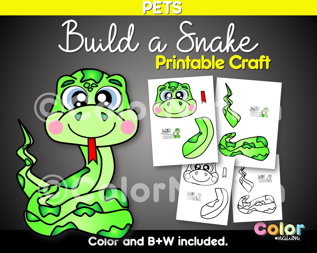 Build a Snake Craft - Pets Activity - Rainforest Animals - Jungle ...