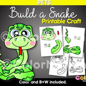 Build a Snake Craft - Pets Activity - Rainforest Animals - Jungle ...