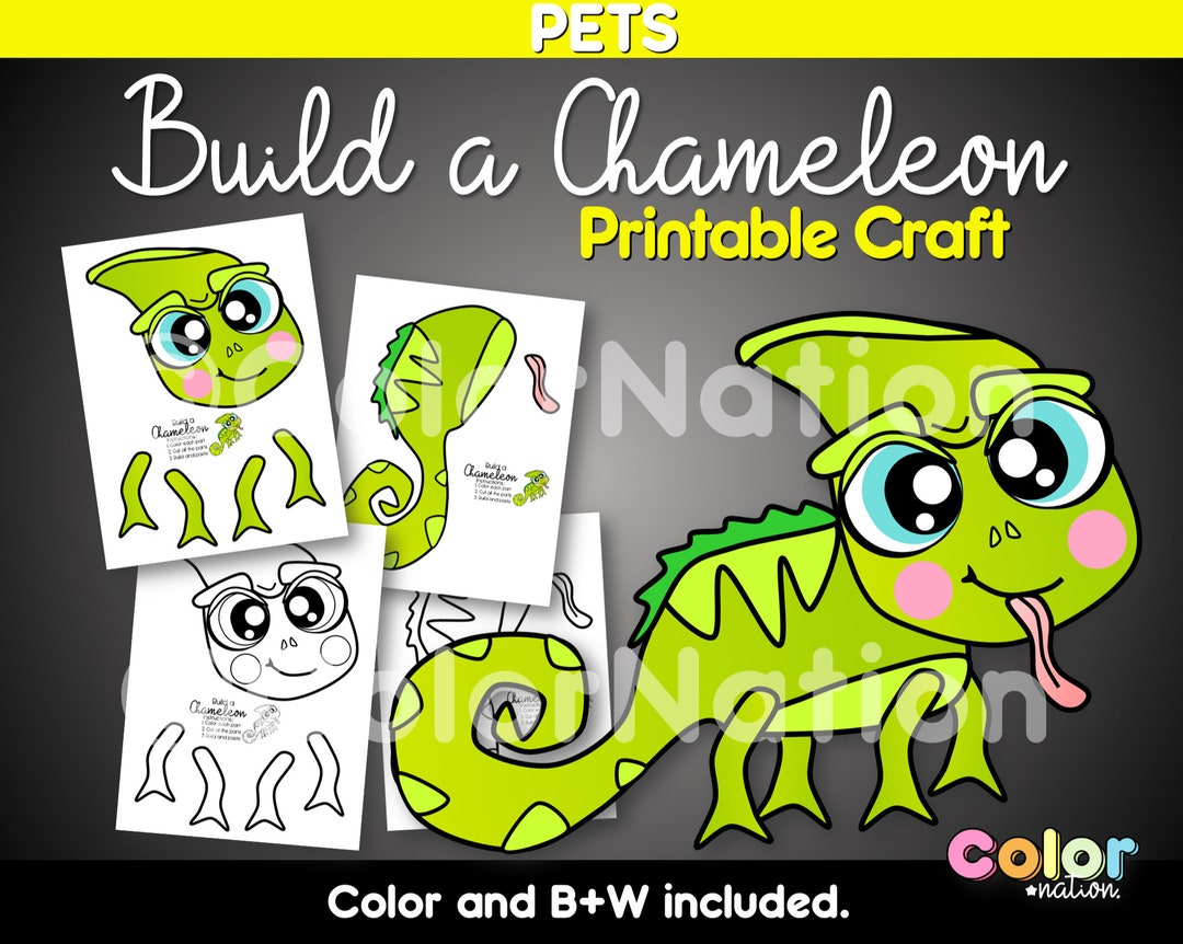 Build a Chameleon Craft - Pets Activity - Class Pet - Rainforest ...