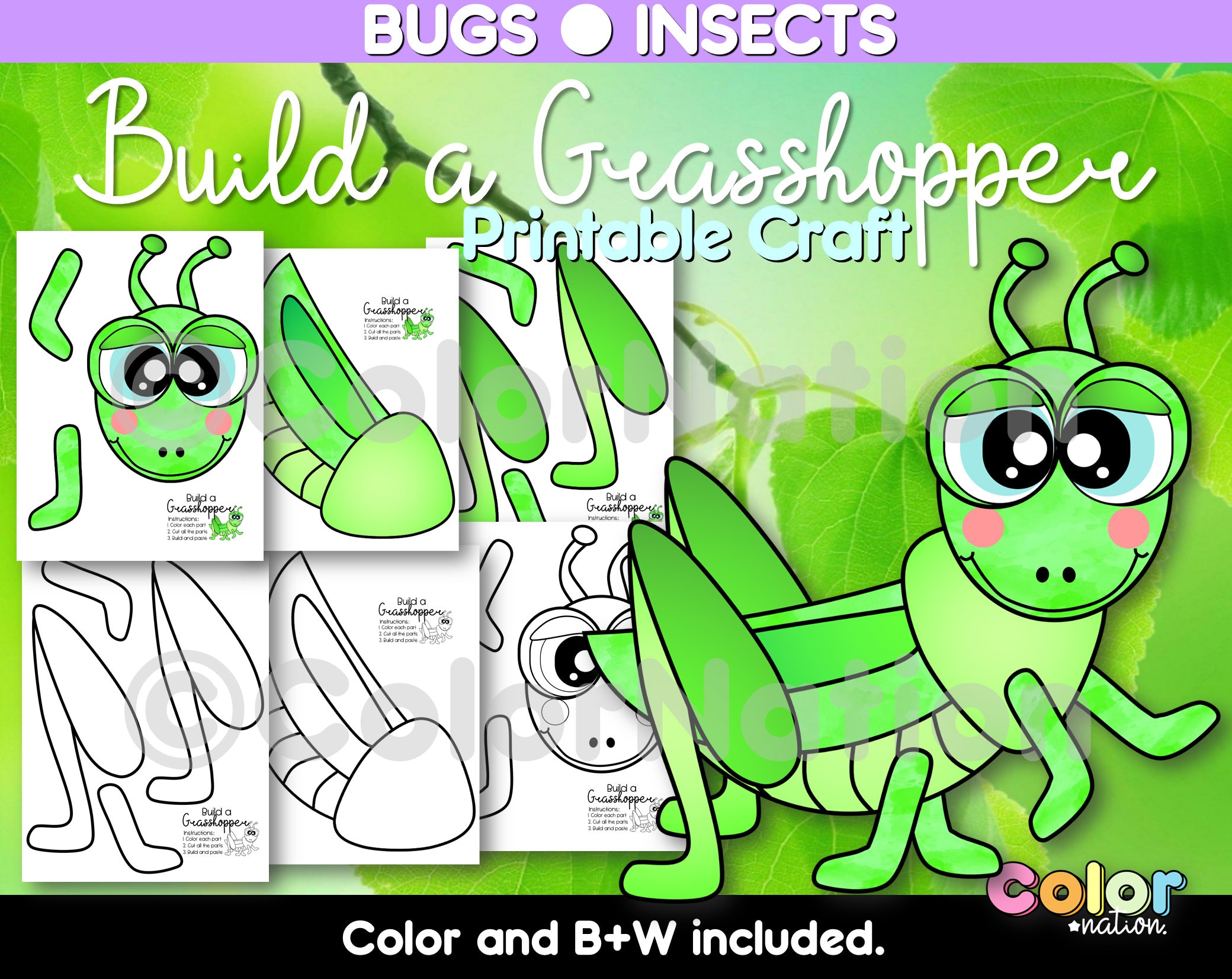 Build a Grasshopper Craft - Bugs and Insects Activities - Spring Crafts ...
