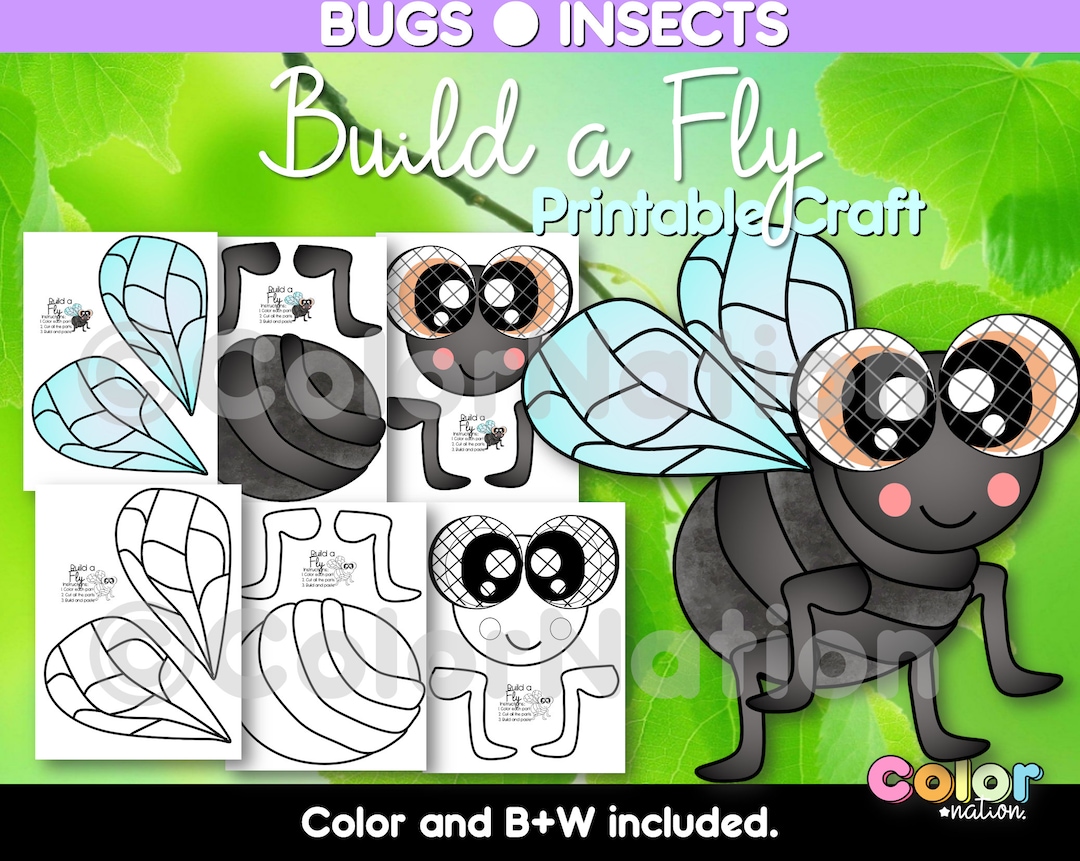 Build a Fly Craft - Bugs and Insects Activities - Spring Crafts - Etsy