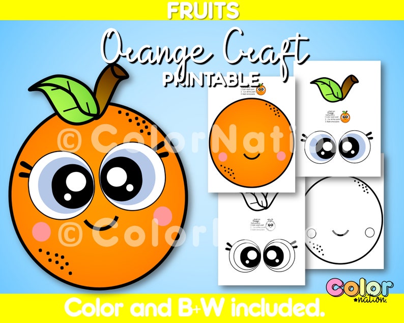 Orange Craft Fruit Craft Activities Food Groups Summer Activities ...
