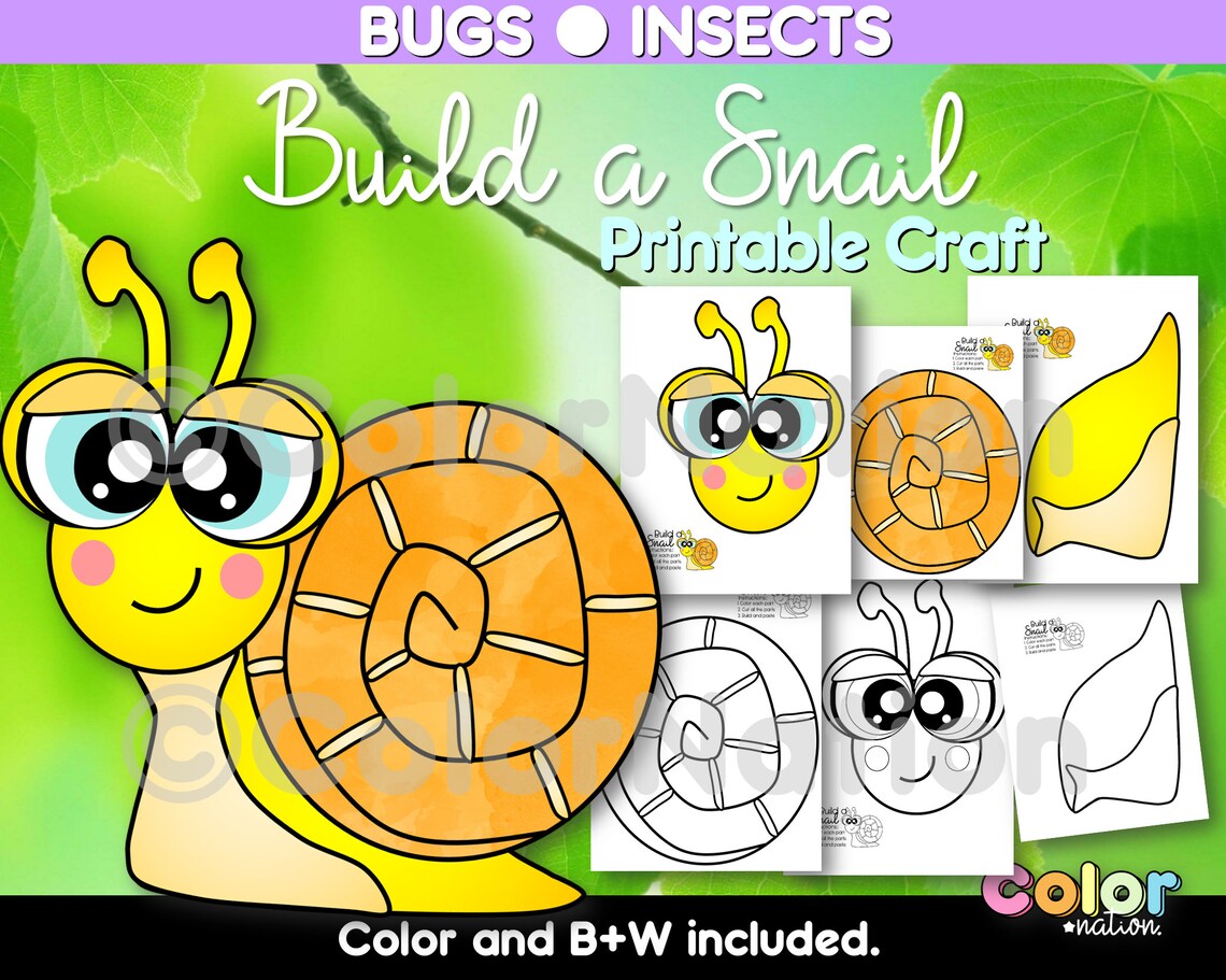 Bugs and Insects Crafts Bundle: Spring Coloring Pages - Etsy