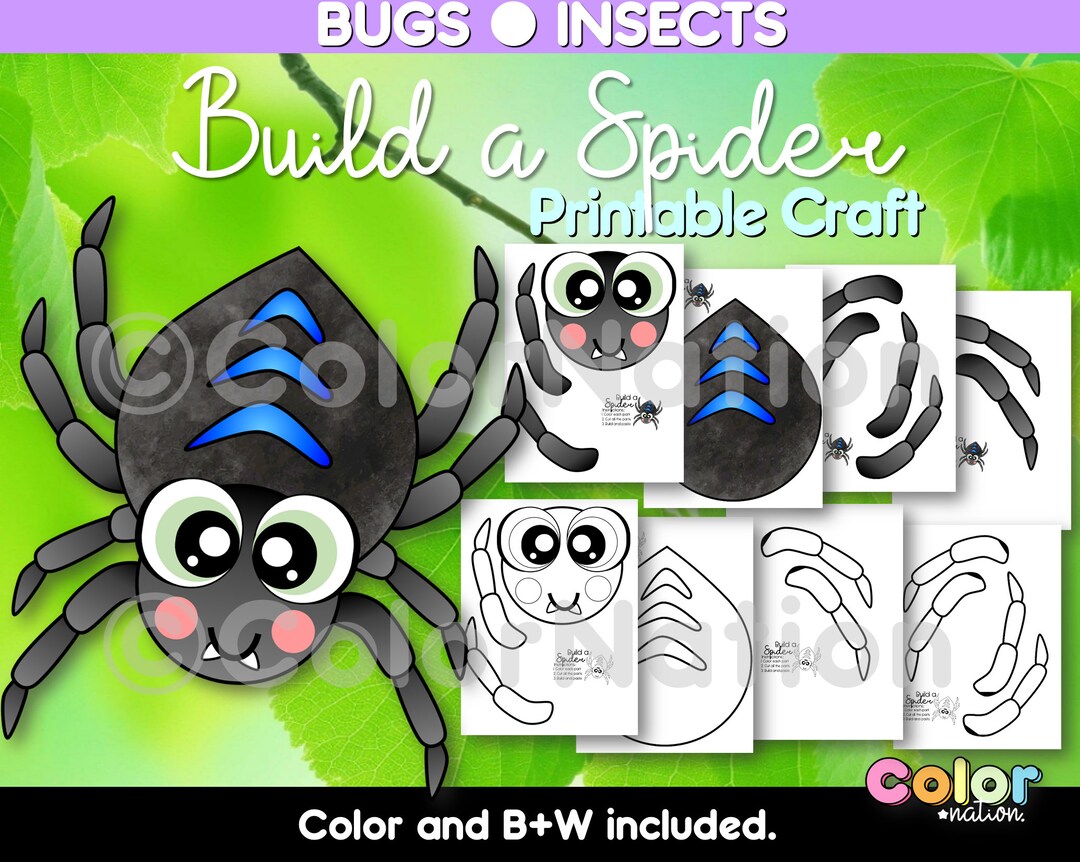 Build a Spider Craft - Bugs and Insects Activities - Spring Crafts ...