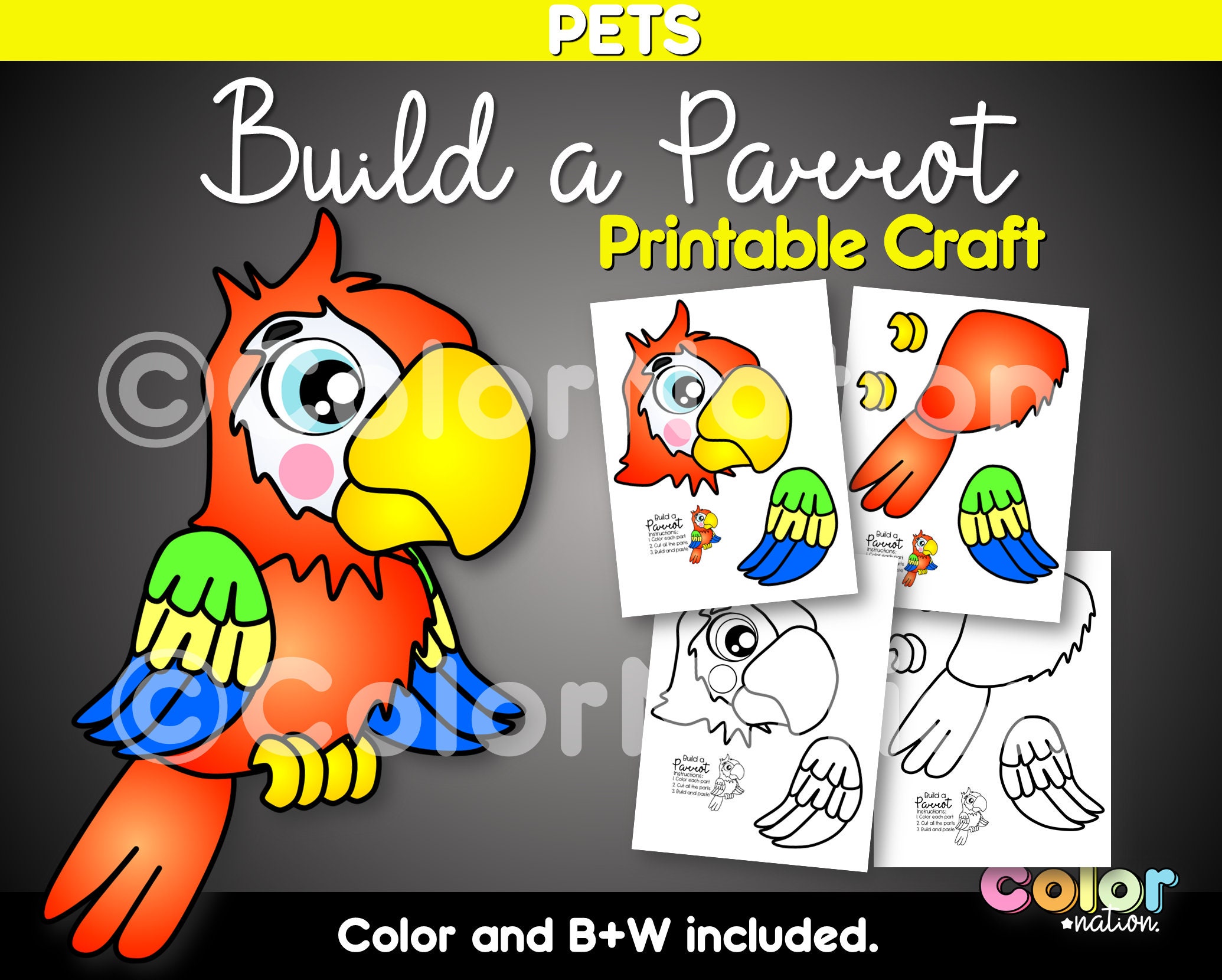 Build a Parrot Craft - Pets Activity - Class Pet - Rainforest Animals ...