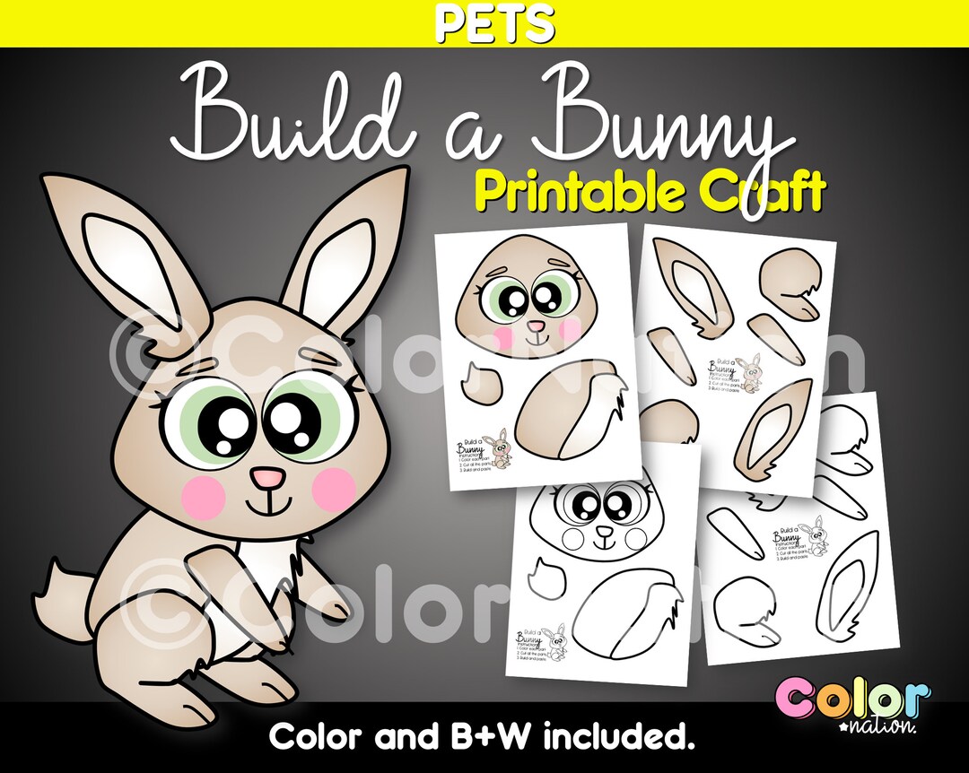 Build a Bunny Craft - Pets Activity - Class Pet - Spring Crafts - Farm ...