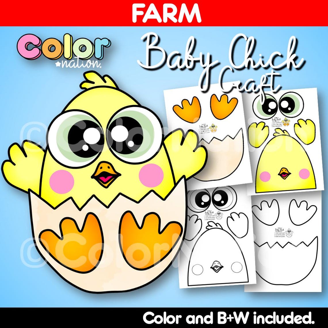 Farm Craft Baby Chick Life Cycle of a Chicken Spring Easter Bulletin ...