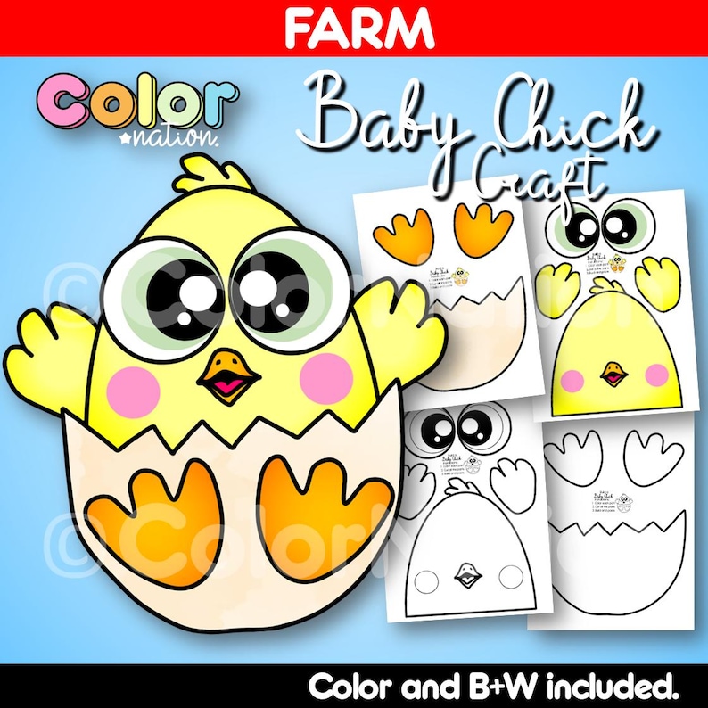Farm Craft Baby Chick Life Cycle of a Chicken Spring Easter Bulletin ...