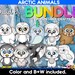 Arctic Animals BUNDLE of Printable Crafts -antartic Coloring, Harp Seal ...