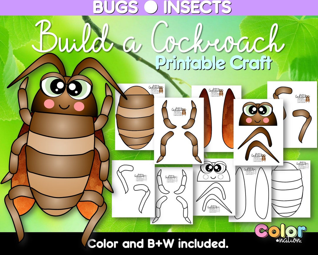Construye una manualidad de cucarachas - Actividades sobre bichos e ...
