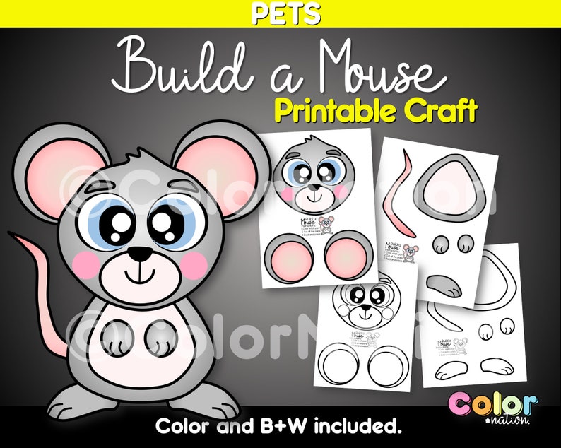 Build a Mouse Craft - Pets Activity - Class Pet - Spring Crafts - Farm ...