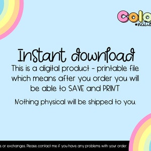 Classroom Decor Bundle Pastel Rainbow Collection - Bulletin Board ...