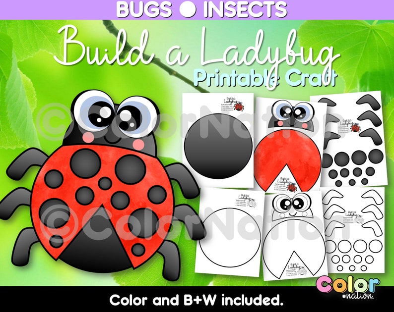 Build a Ladybug Craft - Bugs and Insects Activities - Spring Crafts - Etsy