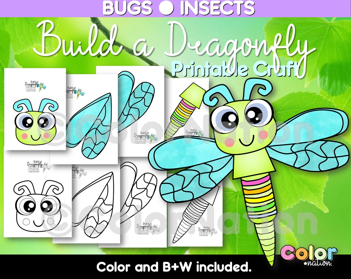 Build a Dragonfly Craft Bugs and Insects Activities Spring Crafts - Etsy