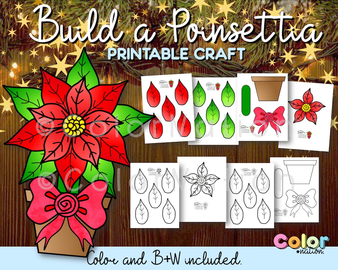 Build a Poinsettia Craft - Christmas Coloring Pages - Winter Craft - Etsy