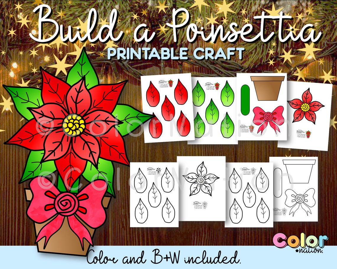 Build a Poinsettia Craft - Christmas Coloring Pages - Winter Craft - Etsy