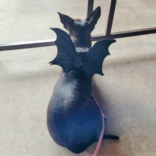 Dog Bat Costume - Etsy
