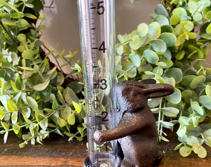Little Rabbit Rain Gage - Etsy