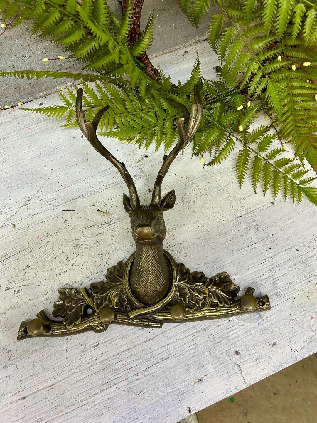Elegant Mounted Stag Head With Oak Leaves Medium Coat Rack Aluminum ...