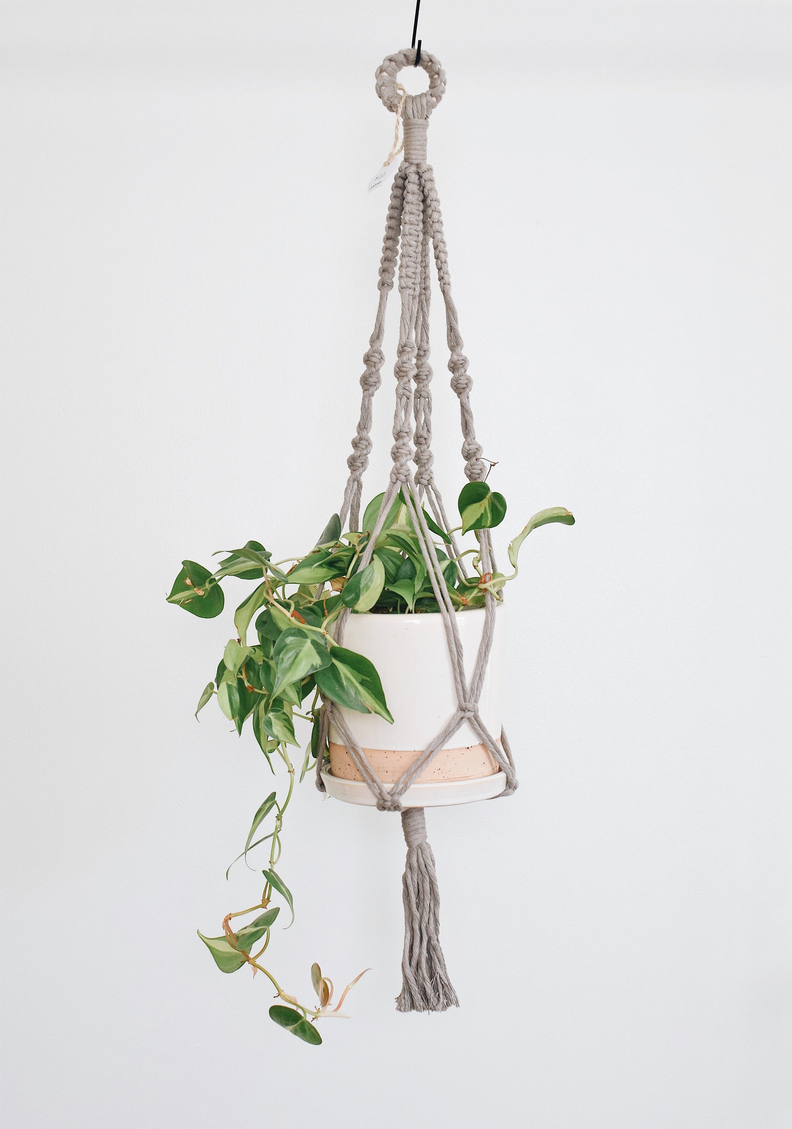 Nadia - Macrame Plant Hanger - Etsy