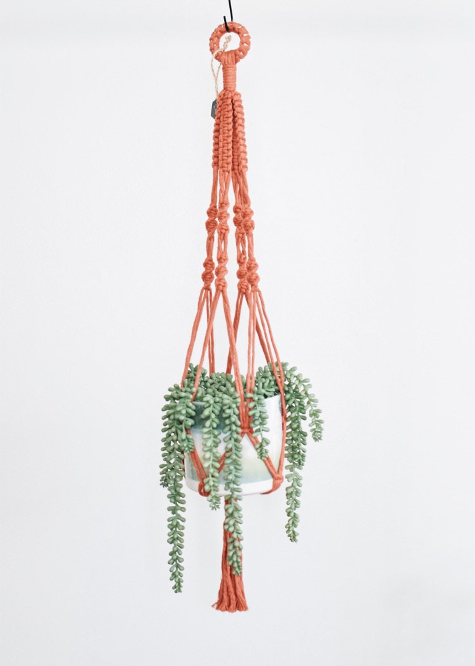 Nadia - Macrame Plant Hanger - Etsy