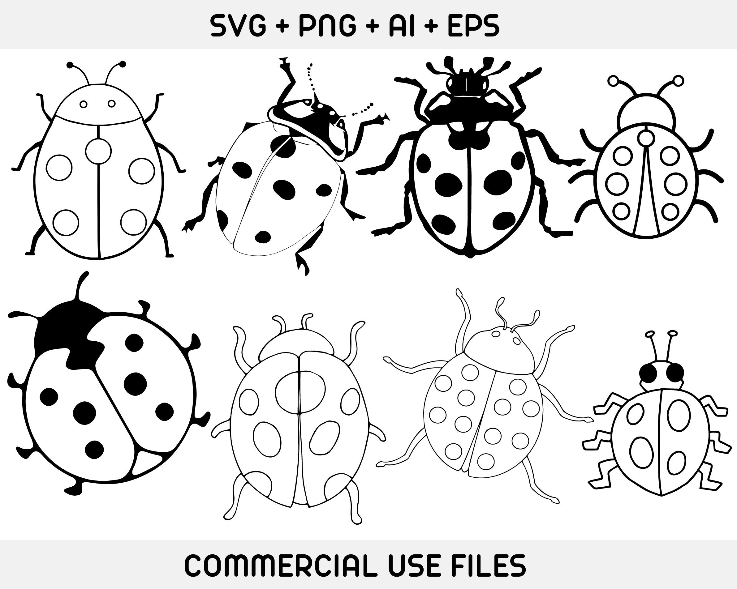 Ladybug SVG, Baby Ladybug Cut File, Insect Svg, Ladybug PNG, Ladybug ...
