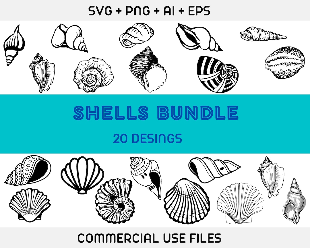 Seashells Bundle SVG, Shells Bundle SVG, Shells Cut File, Sea Shells ...