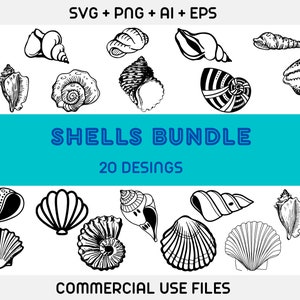 Seashells Bundle SVG, Shells Bundle SVG, Shells Cut File, Sea Shells ...
