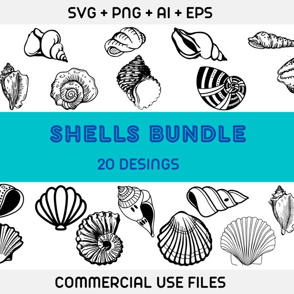 Seashells Svg - Etsy