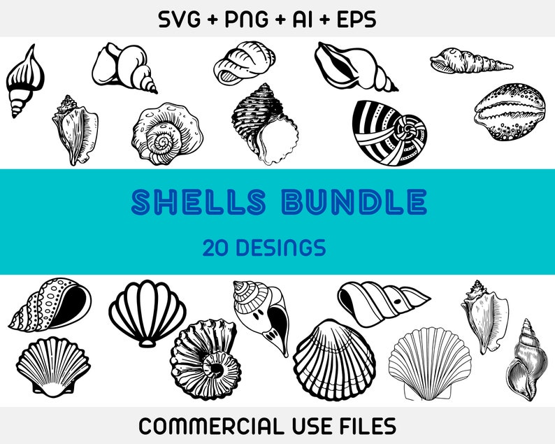 Seashells Bundle SVG Shells Bundle SVG Shells Cut File Sea - Etsy