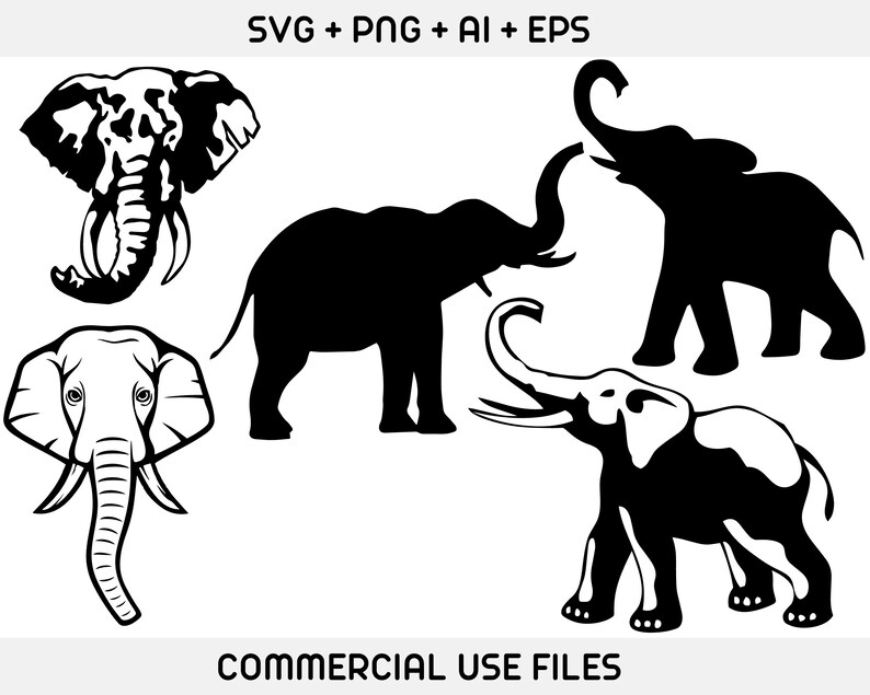 Elephant Svg Elephants Svg Wild Life Svg Africa Animals - Etsy