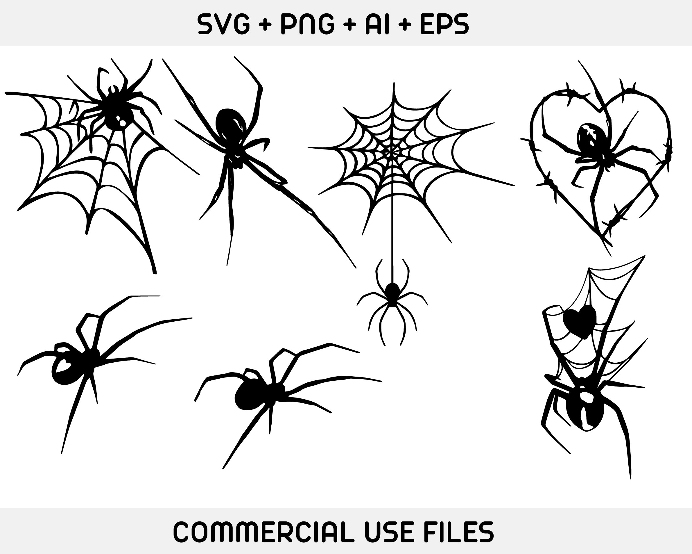 Spider Svg Spider Web Svg Insect Svg Cobweb Svg - Etsy