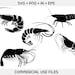 Shrimp SVG Bundle, Shrimp Svg, Shrimp Png, Shrimp Eps, Shrimp Vector ...